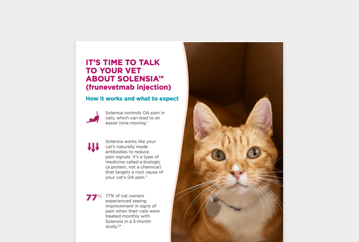 Solensia Client Education | Zoetis US