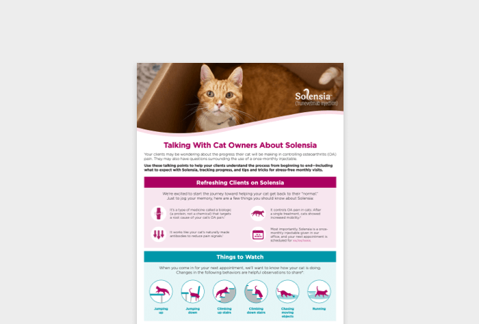 Solensia Client Education | Zoetis US