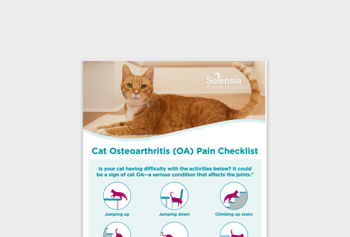 Solensia Client Education | Zoetis US